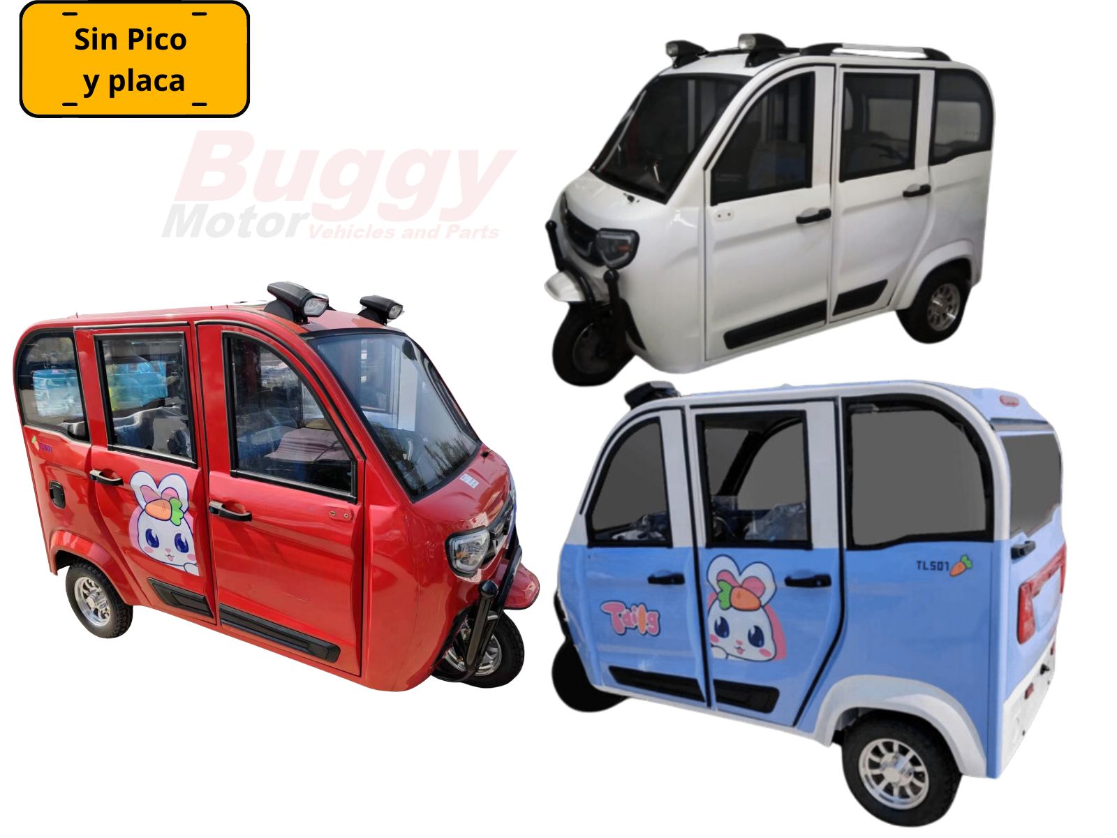 Motocarros eléctricos económicos de calidad sin pico y placa – Buggy Motor